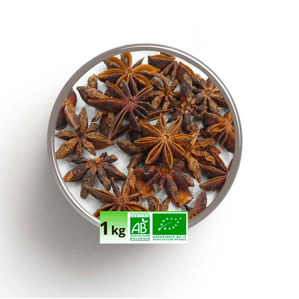 Grossiste ANIS ÉTOILÉ - BADIANE fruit entier bio - Vente en gros – Thés ...
