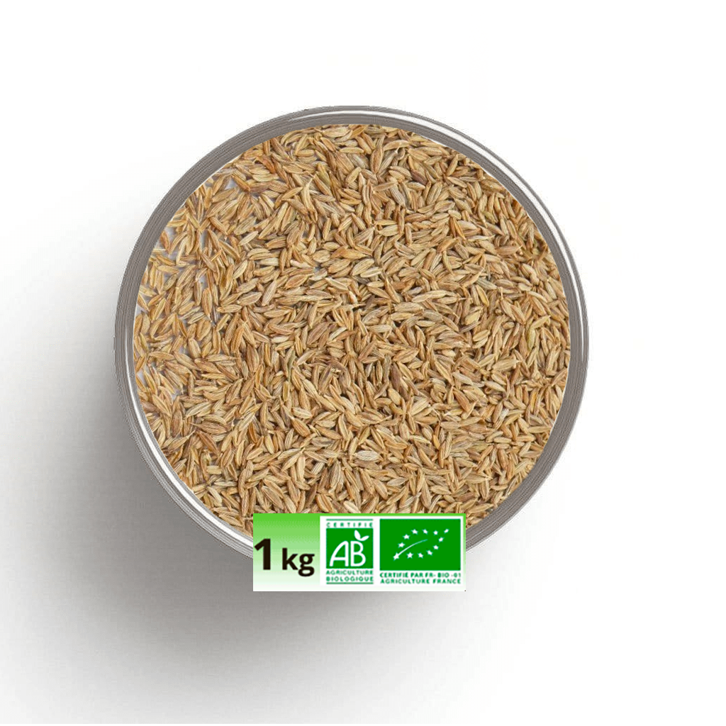 Grossiste CUMIN graine entière bio - Vente en gros – Thés Direct ...