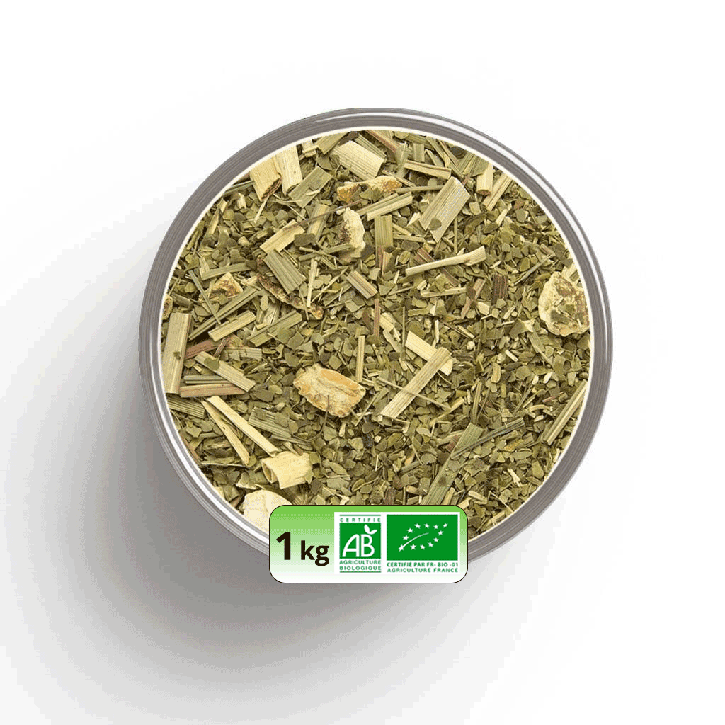 Maté Tonic (pamplemousse, citron) BIO en vrac – Thés Direct : Grossiste ...